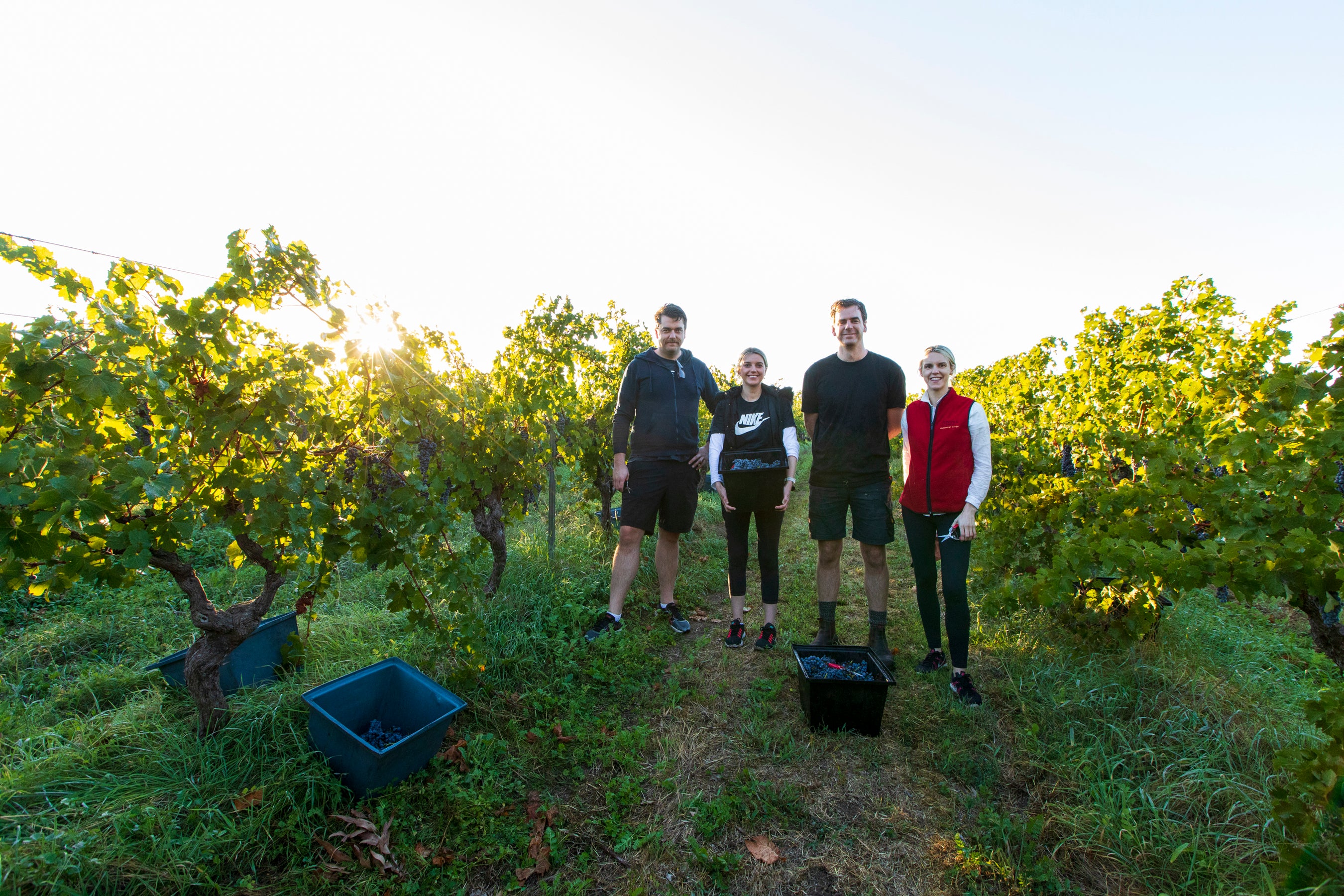 Our Story – Juniper Estate