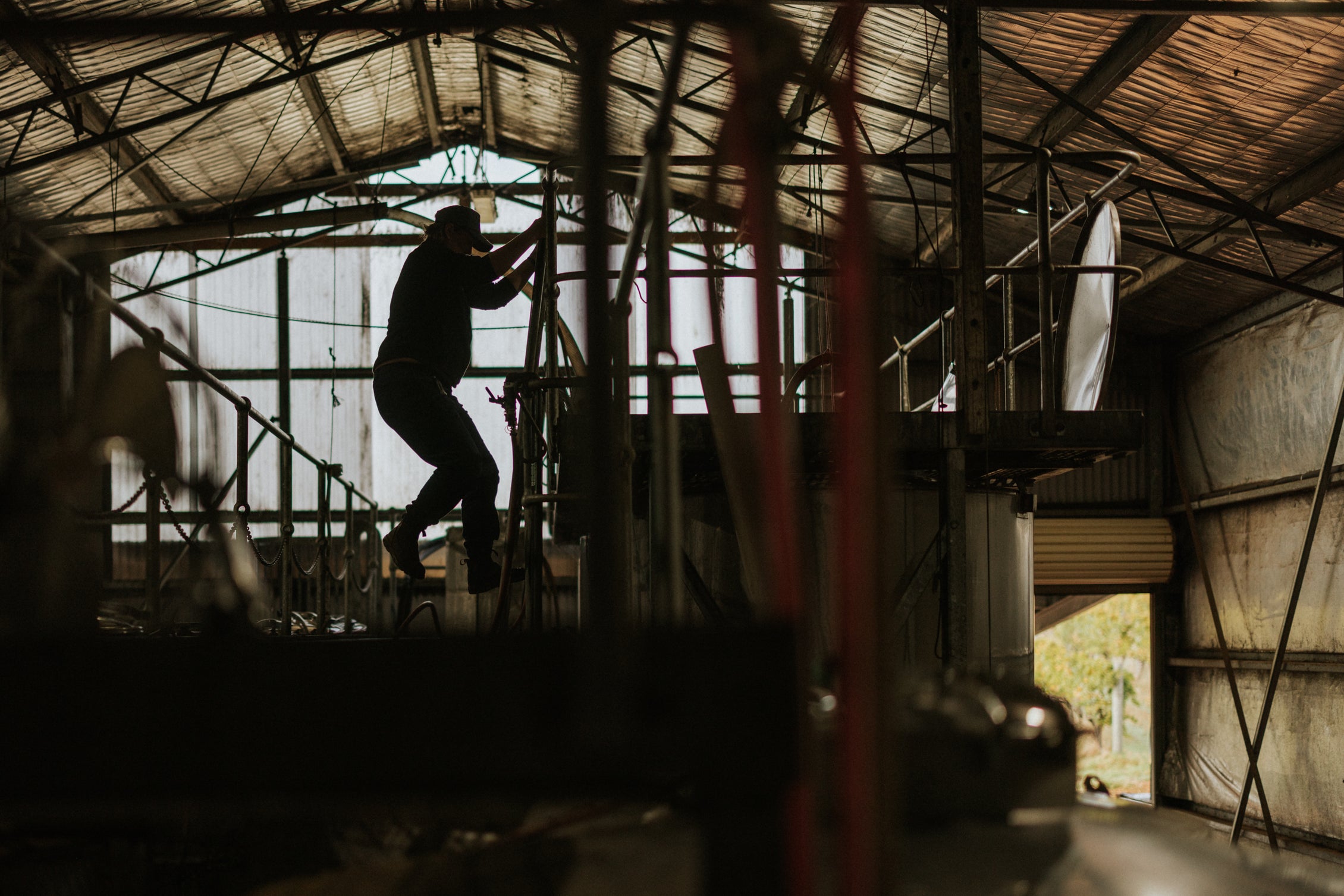 Our Story – Juniper Estate